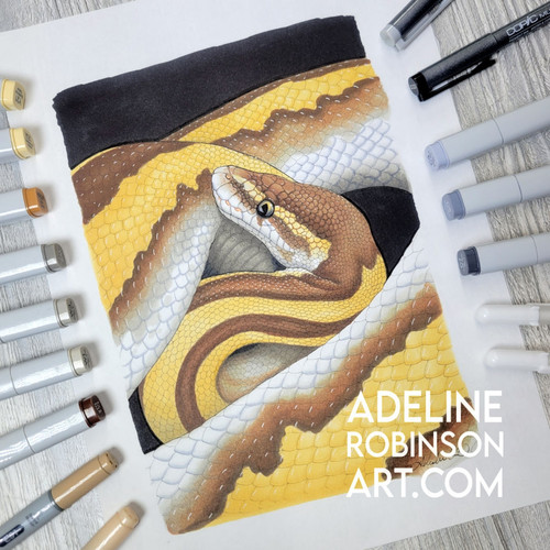 Leopard Lesser Fire Ball Python - Python regius | Adeline Robinson Art