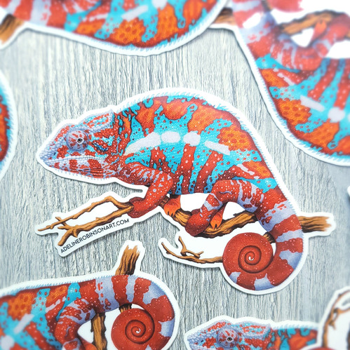 Panther Chameleon Sticker - Furcifer pardalis | Adeline Robinson Art