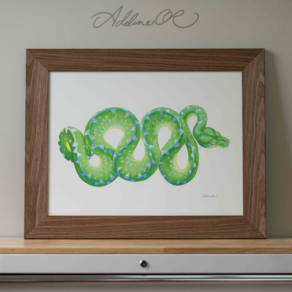 Original Artwork | Adeline Robinson Art