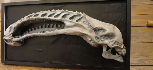 Alien xenomorph 3d printed skull | Breaking The Mold