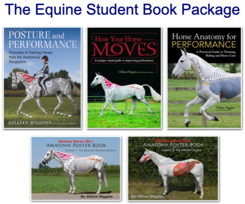 The Equine Student Pack | Horses Inside Out