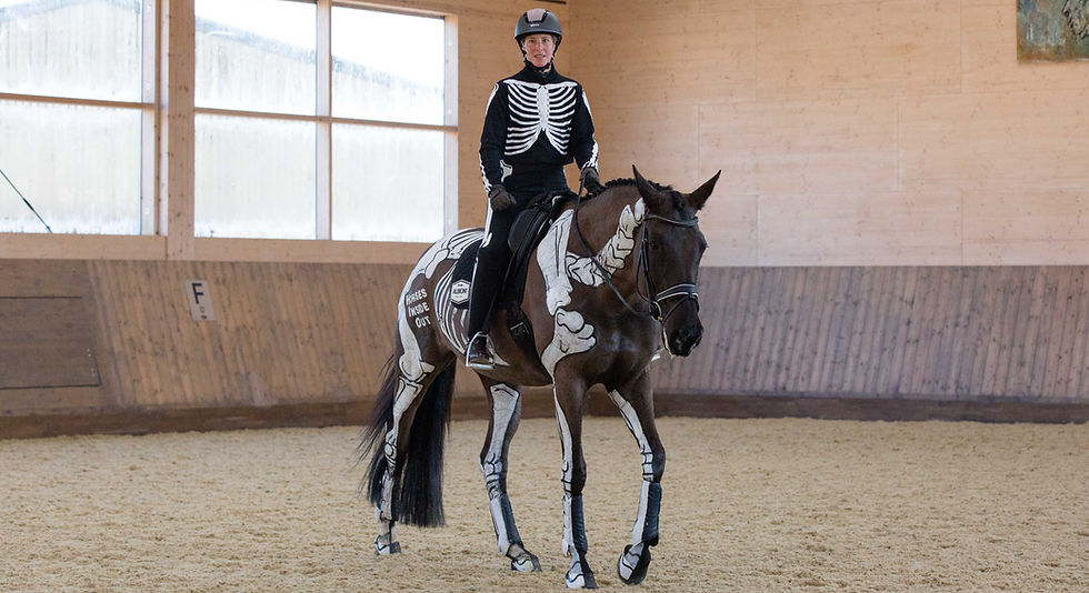 Understanding & Assessing Your Horse's Movement: Part 1 - The ...