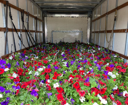 GALLERY | Plant Land Garden Center | Kalispell, Montana