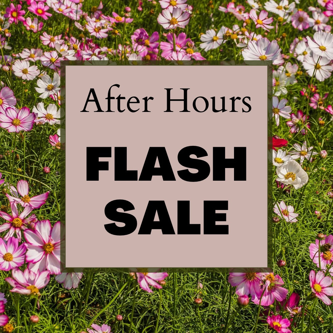 After Hours Flash Sale | Plantland