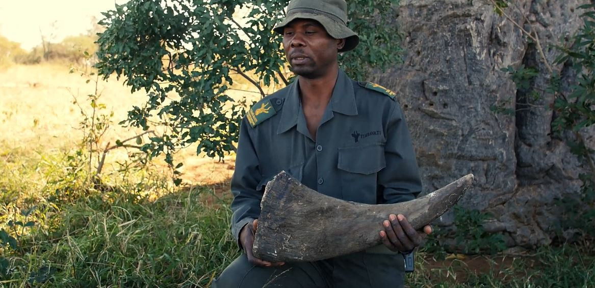 Rhino Man Review | Film Reviews