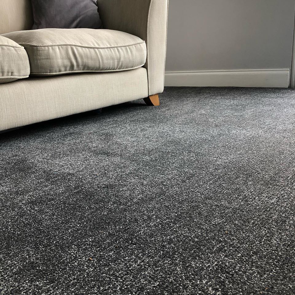 HOME PAGE | Phillips Carpets
