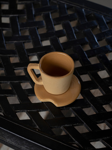 Daily Cup | Box Turtle