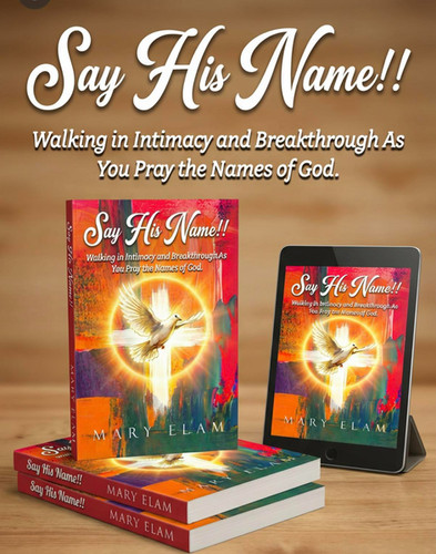 Say His Name-Walking in Intimacy and Breakthrough as You Pray the Names ...