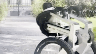 Step Up Your Robot Security with Ascento