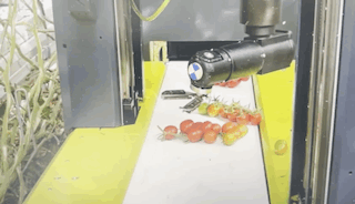 MetoMotion Brings Innovation to Farming