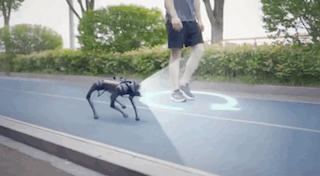 Will Robotic Dogs Really Become Commonplace?