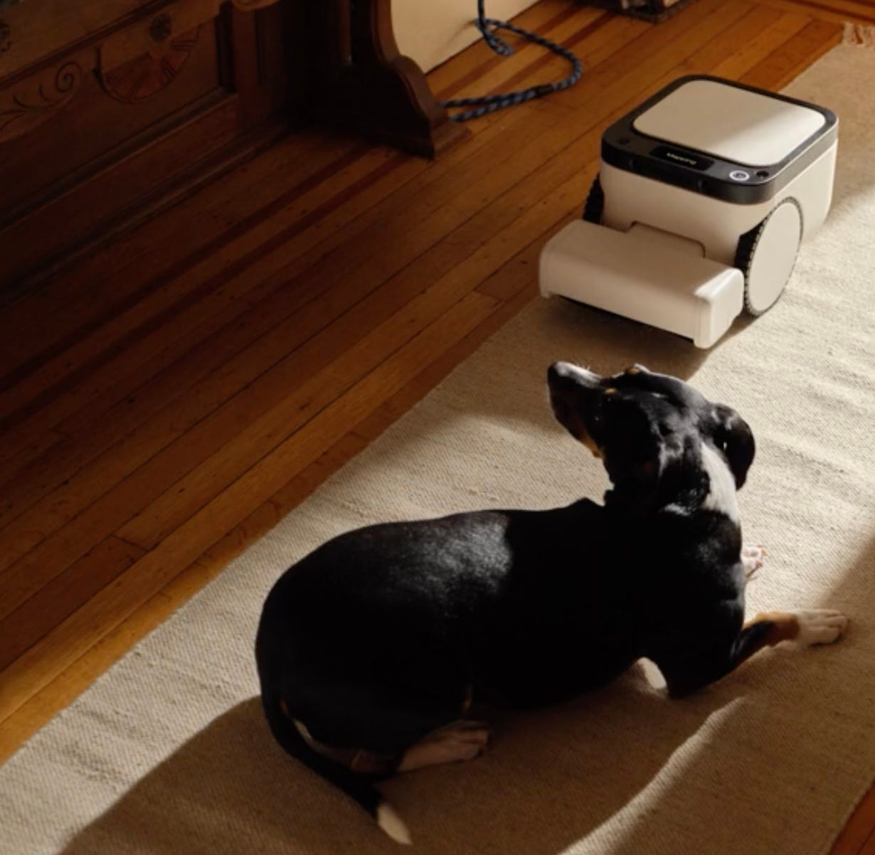 The Matic Robot Vacuum/Mop Makes Life Easier