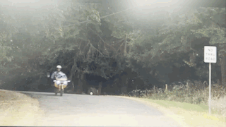 Electrom Brings Their LEV (Light Electric Vehicle) to Market!
