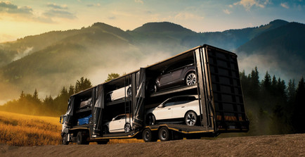 Exotic Carriers | Enclosed car carrier | 27c Clinic Road, Muldersdrift ...