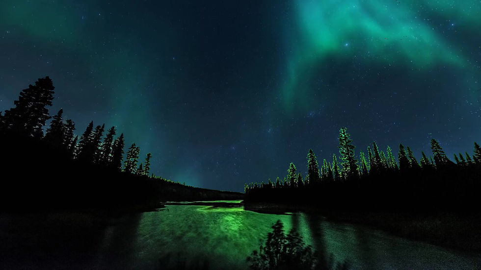 Home | Northern Spruce Housing Prince Albert Saskatchewan