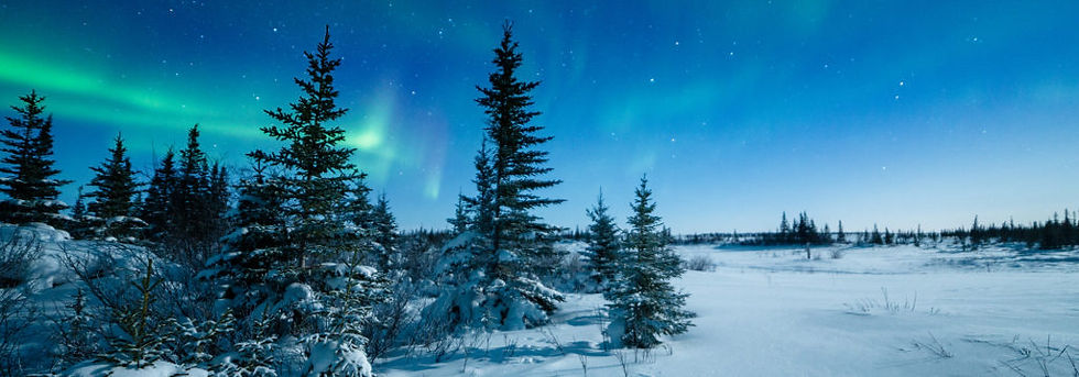 Home | Northern Spruce Housing Prince Albert Saskatchewan