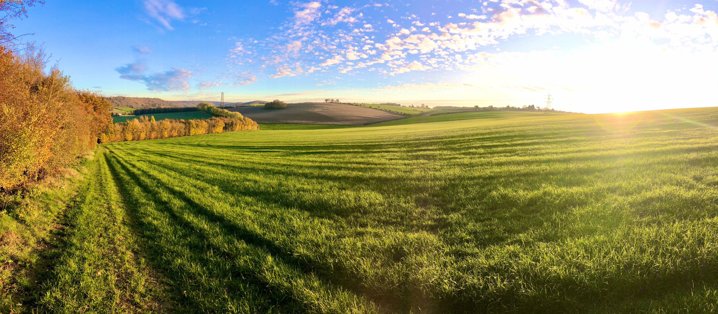 Home | Darent Valley Walks