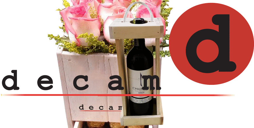 Inicio | decam