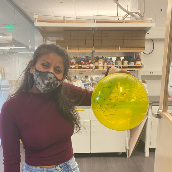 The Team | Biegasiewicz Lab