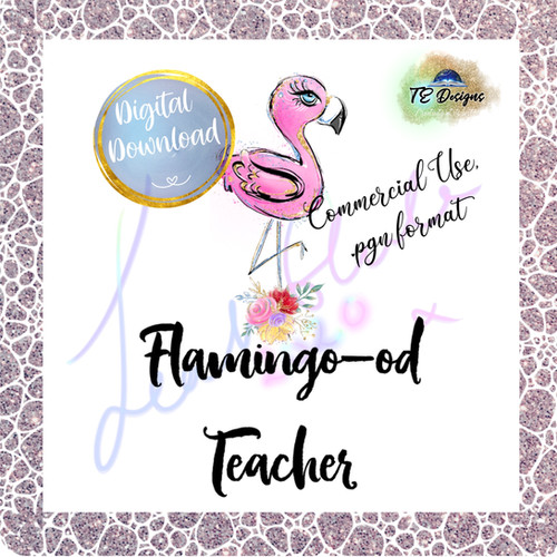 Flamingo Teacher pgn clipart for commercial use | TeachElite