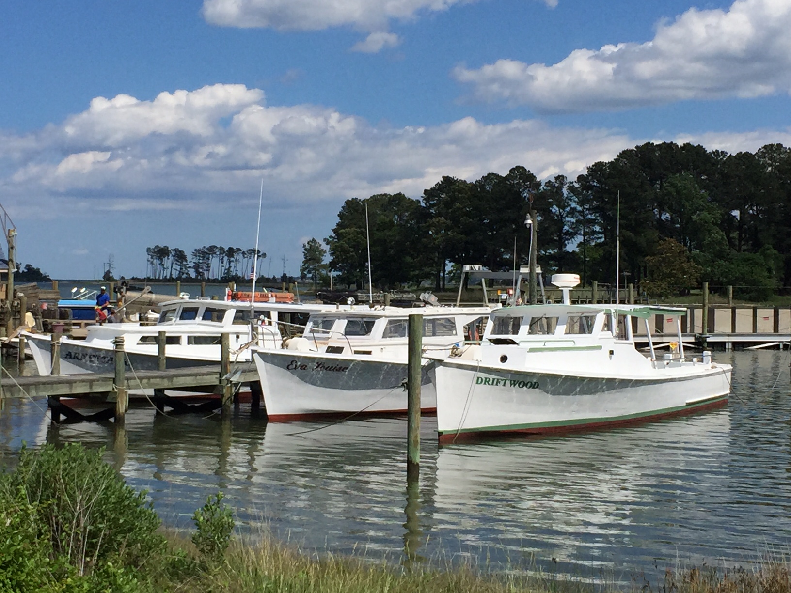 See & Do | Town of Irvington, Virginia