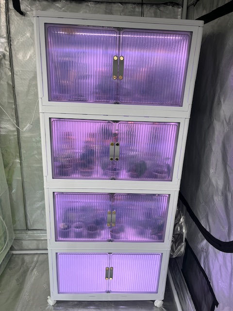 A DIY modular plant prop box that you can proudly display in your ...