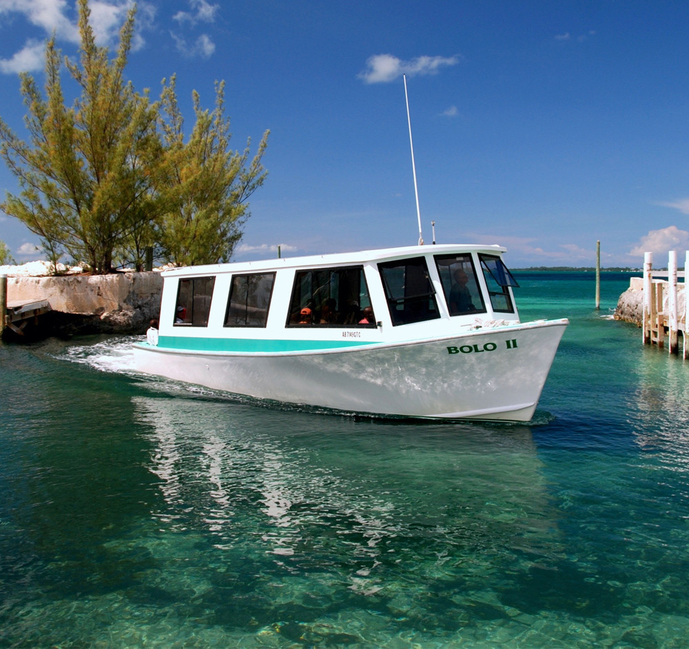 How to get here | Bluff House