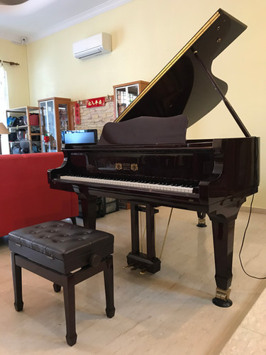 SGPH Gebr Perzina G187 - 13 Years Old | singapore-piano-hub