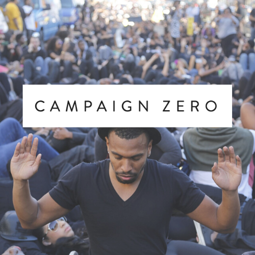 CAMPAIGN ZERO