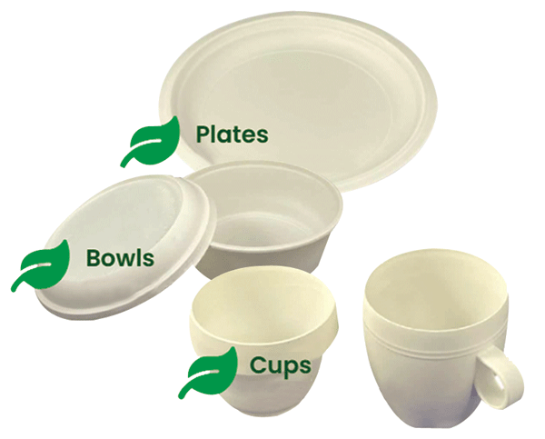 Greendish Eco-Friendly Food Containers (Need to check price) | OKBA CANADA