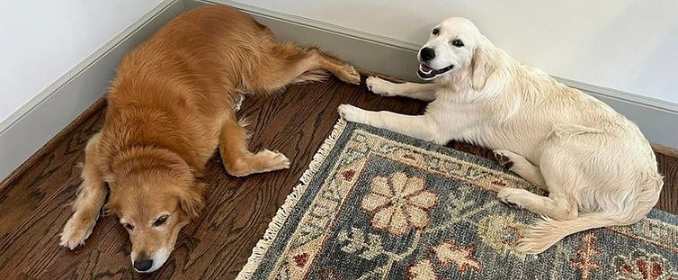 About Us | Laura Huggins Law