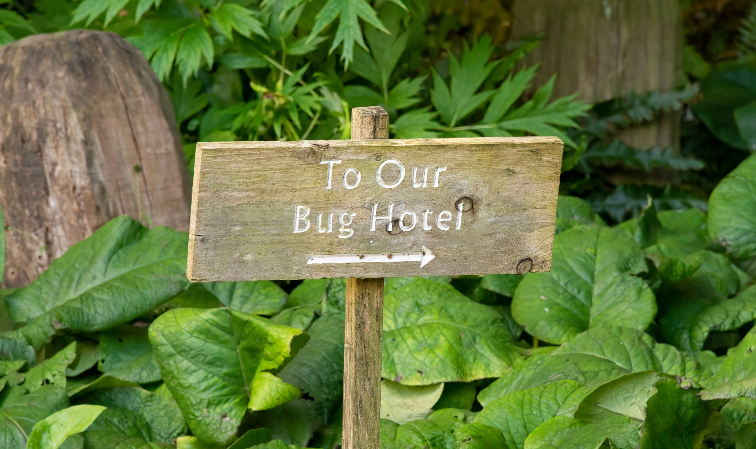 Pollinator Pit Stop | Tech at Home