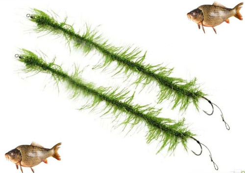 Carp Coarse Fishing Hair Rigs With Camo Weed Effect 20lb Braid Line ...