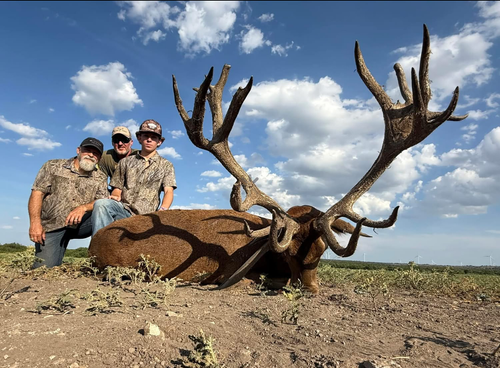 Red Stag Hunting outside of Dallas Fort worth Texas | thedraw