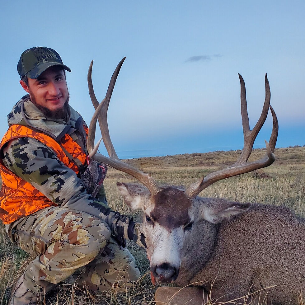 The Draw - North America Big Game Hunting