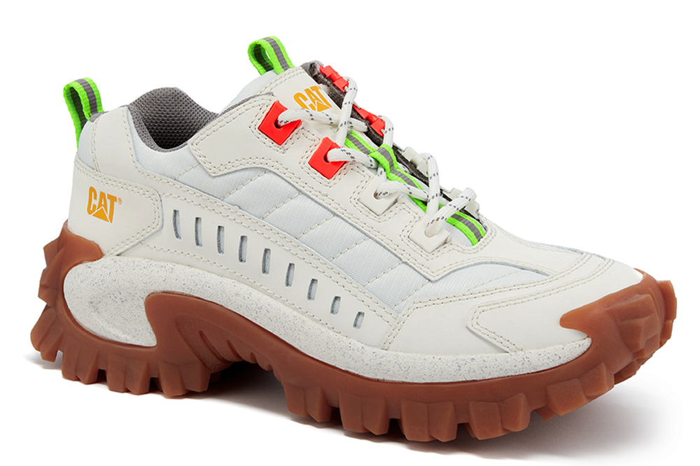 COLLECTION: CAT INTRUDER RE-POWERED