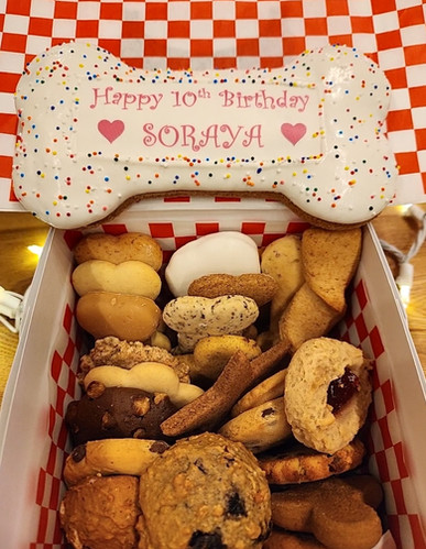 DAY CARE BIRTHDAY PACKAGE | TheHungryHound