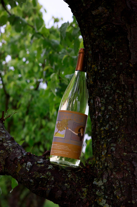 Semi-Sweet Wines | SCV