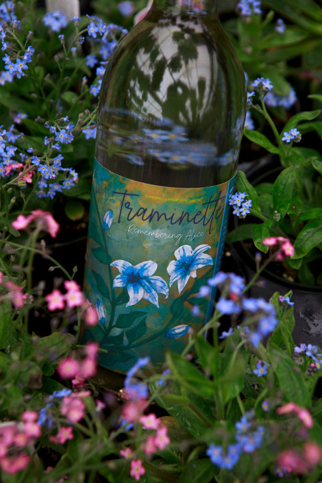 Semi-Sweet Wines | SCV