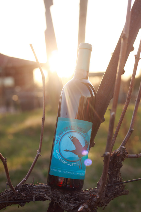 Dry and Off-Dry Wines | SCV