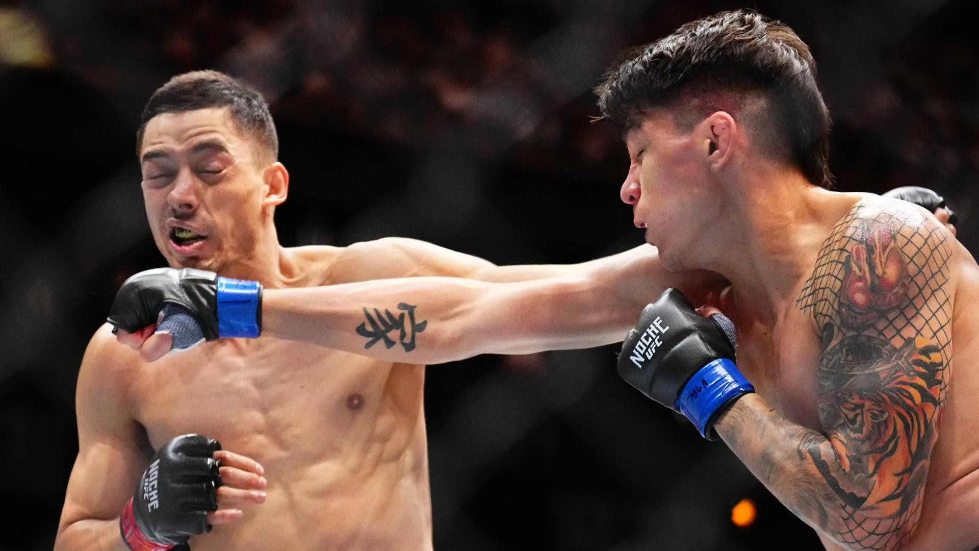 Uncovering Ignacio Bahamondes: A Closer Look at His Unique Fighting ...