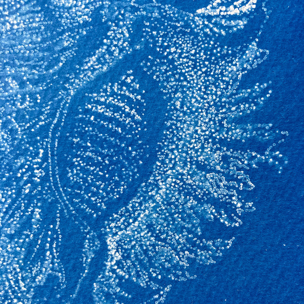 How Cyanotype Works, an easy-to-understand explanation