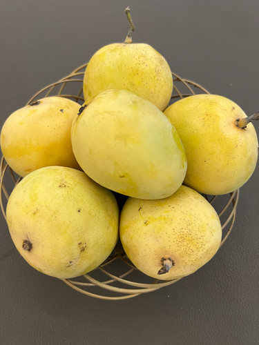 Panduri Mamidi – Juicy Delight of AP | AR4 Fresh