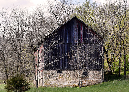 Yet Another Spring | riverbendgalleries