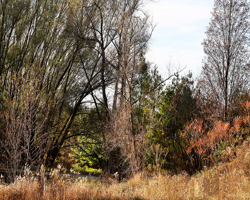 As The Season Turns | riverbendgalleries