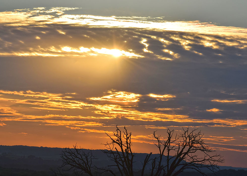 ALL GALLERY PRINTS | riverbendgalleries 5/8