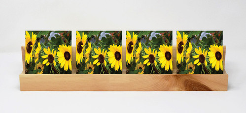 Sunflower Coasters - Set of 4 | riverbendgalleries