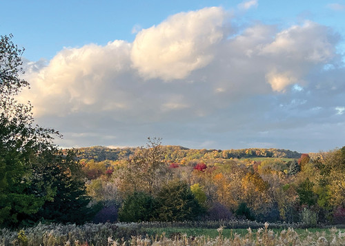 Big Sky | riverbendgalleries