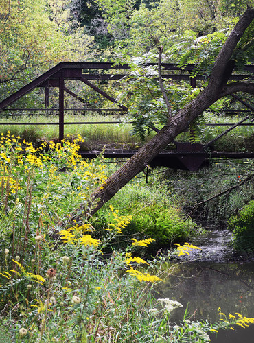 Combined Design | riverbendgalleries