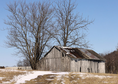 Shaking Off Winter | riverbendgalleries